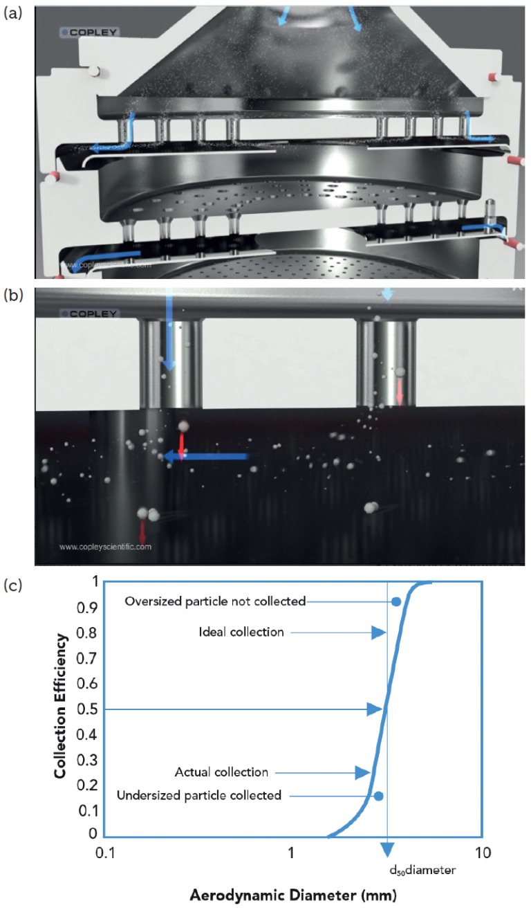 VARIABILITY IN CASCADE IMPACTION: SOURCES, IMPACT AND STRATEGIES FOR ...